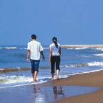 Devbagh beach resort - Beach resorts | Jungle Lodges